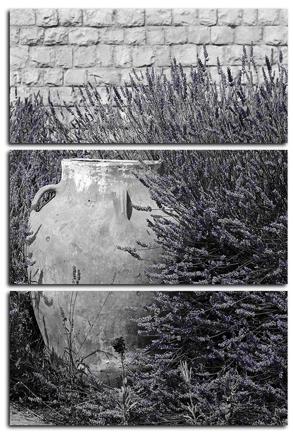 Obraz na plátně - Amfora v levandulovém keři - obdélník 769FB (105x70 cm)