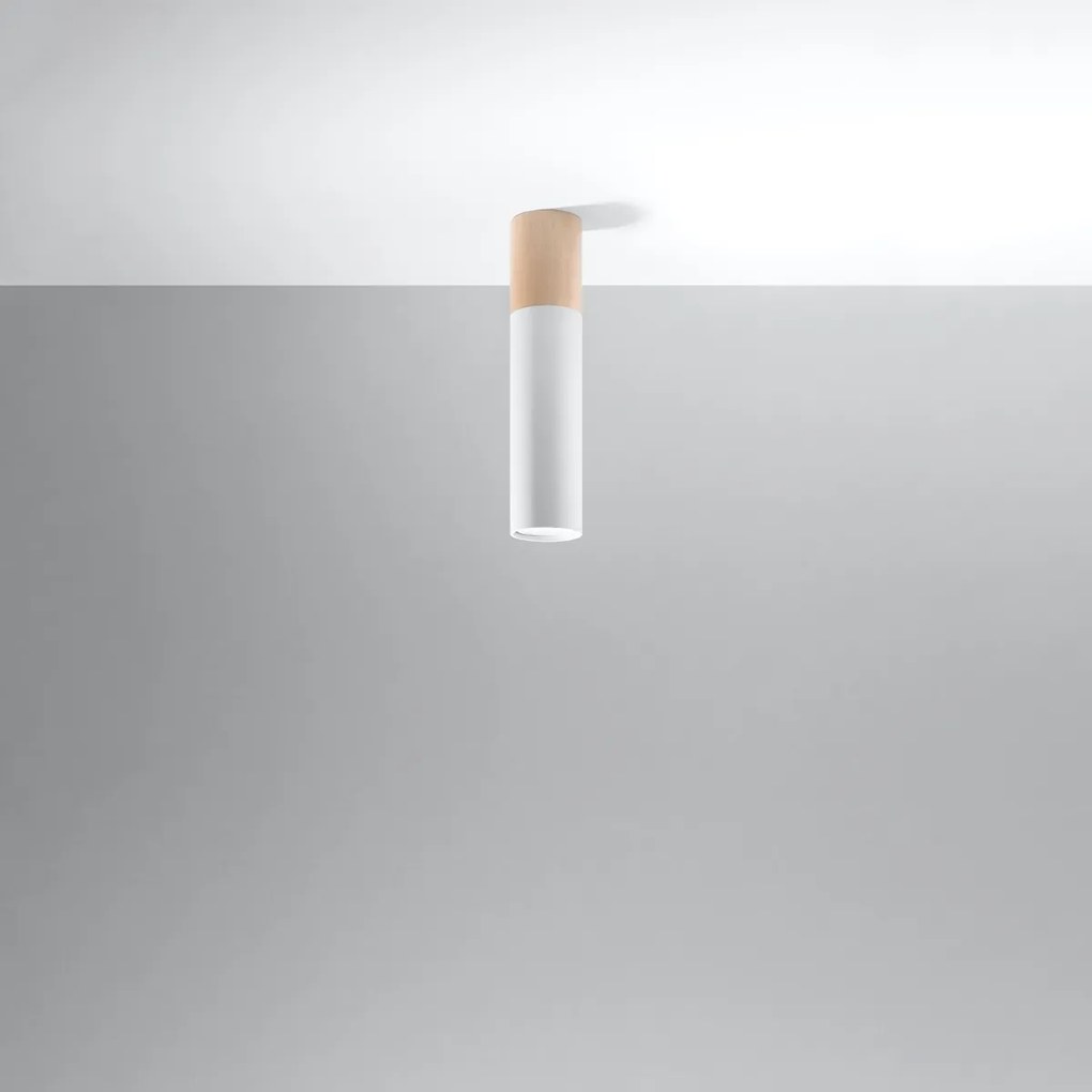 Sollux Lighting Stropní svítidlo PABLO bílé