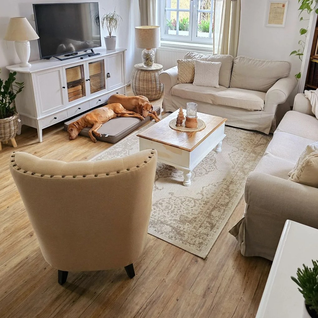 Hanse Home, Kusový koberec Beach 103854 Cream/Beige – na ven i na doma, 200x290, bílá, chodba / předsíň