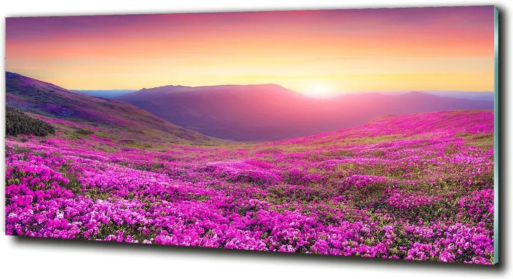 Fotoobraz na skle Růžové kopce