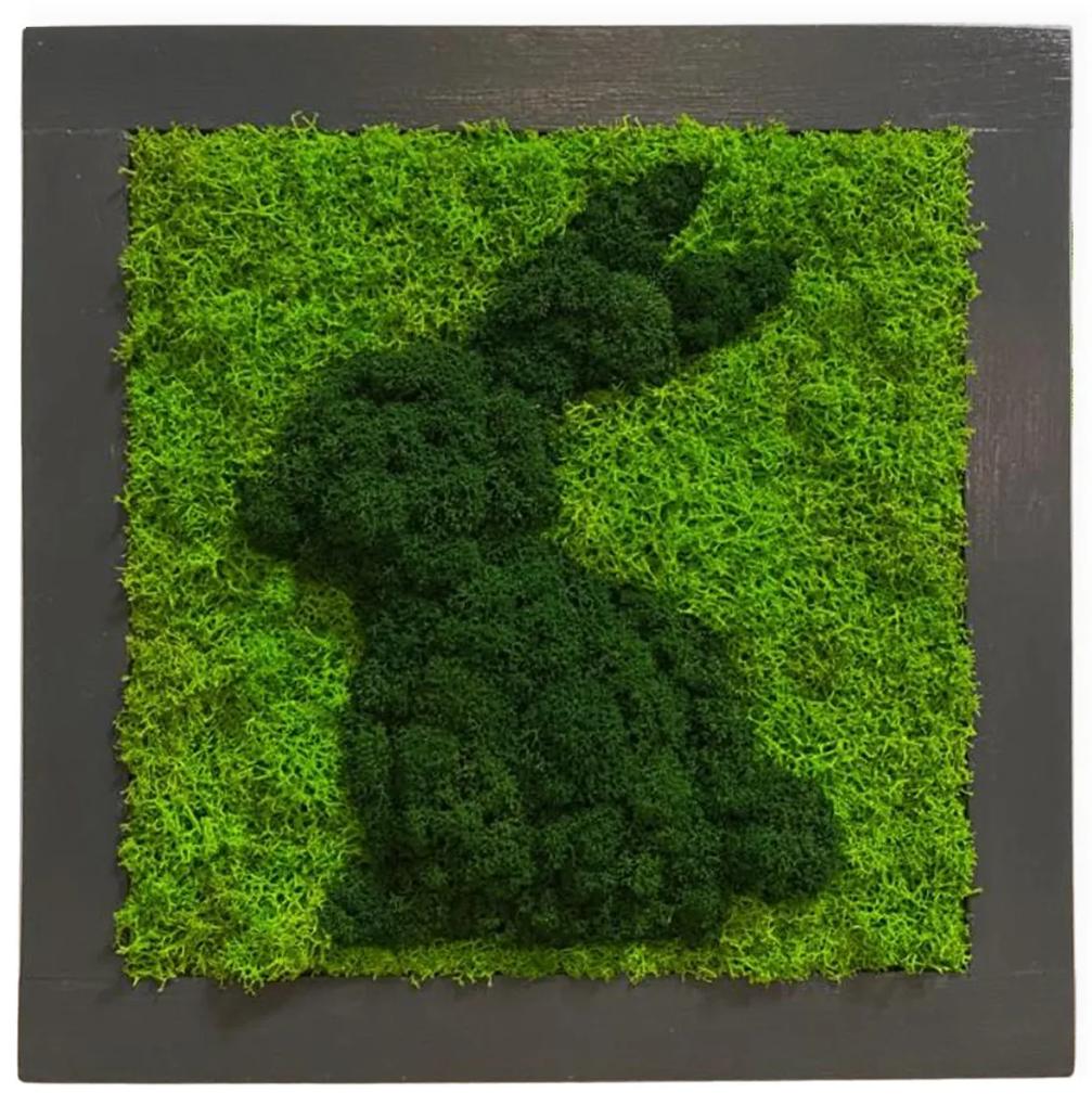 Mechový obraz Růst| sobí mech Rozměr obrazu: 100x100 cm, Barva rámu: Ořech světlý (mořená borovice), Síla rámu (pohledová): 4,5 cm
