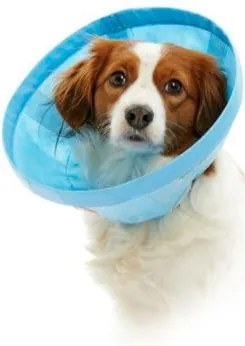 KRUUSE Límec ochranný BUSTER Soft Flex Collar 20cm