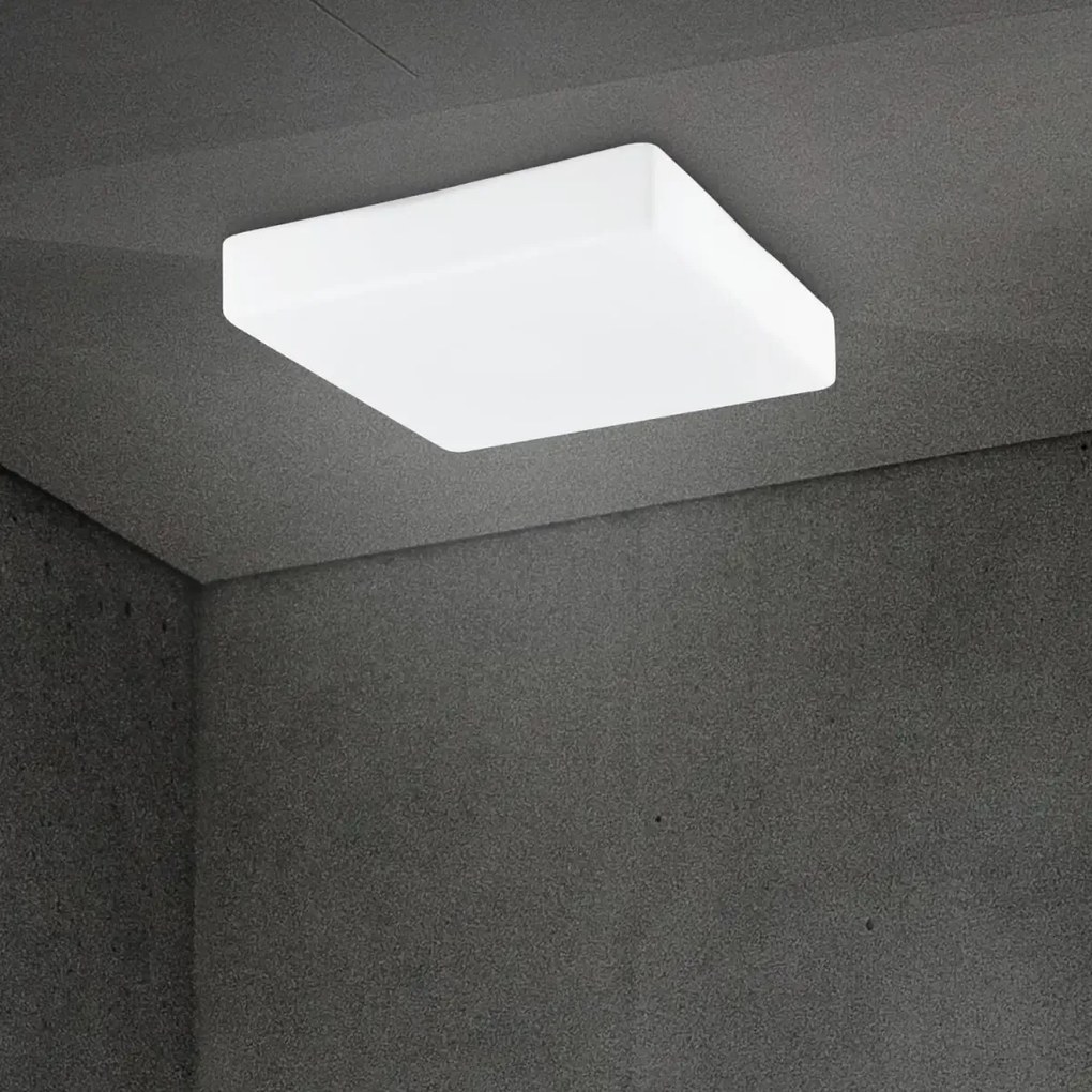 Moderní stropní svítidlo Cube 25 bílé