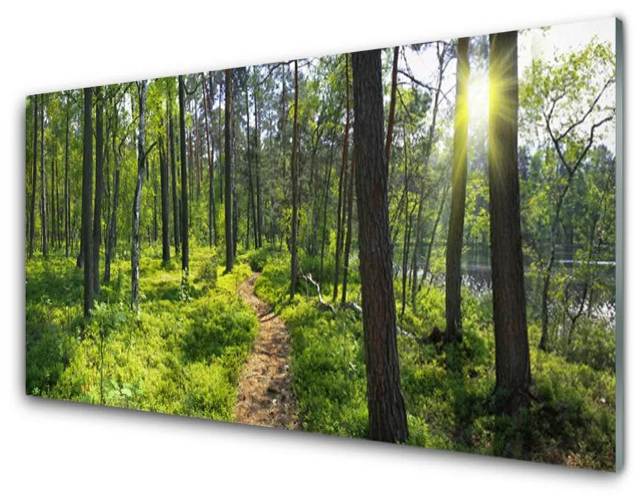 Obraz na skle Les Stezka Cestička Příroda 140x70 cm