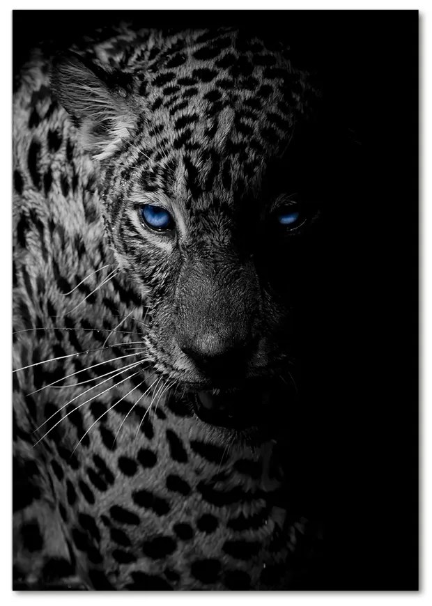Wallmuralia Foto obraz akryl svislý do obýváku Leopard 70x100 cm