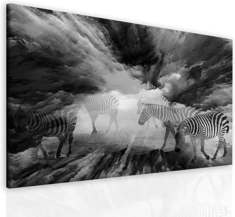 InSmile Obraz black and white  90x60 cm