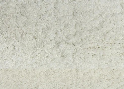 Koberce Breno Kusový koberec DOLCE VITA 01/WWW, Bílá, 67 x 110 cm