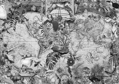 TREFL Puzzle Premium Plus Tea Time: Antická mapa světa / 1000 dílků /