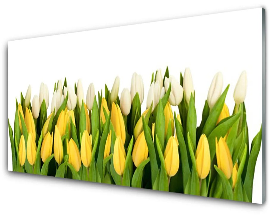 Obraz na skle Tulipány Květiny Rostlina 140x70 cm