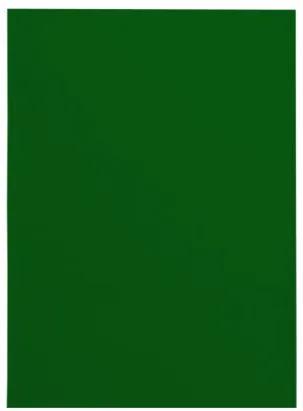 Koberec protiskluzový RUMBA 1967 zelený