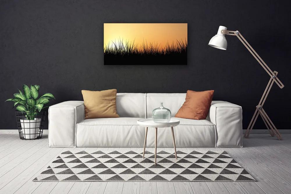 Obraz na plátně Plevel Příroda Rostlina 100x50 cm