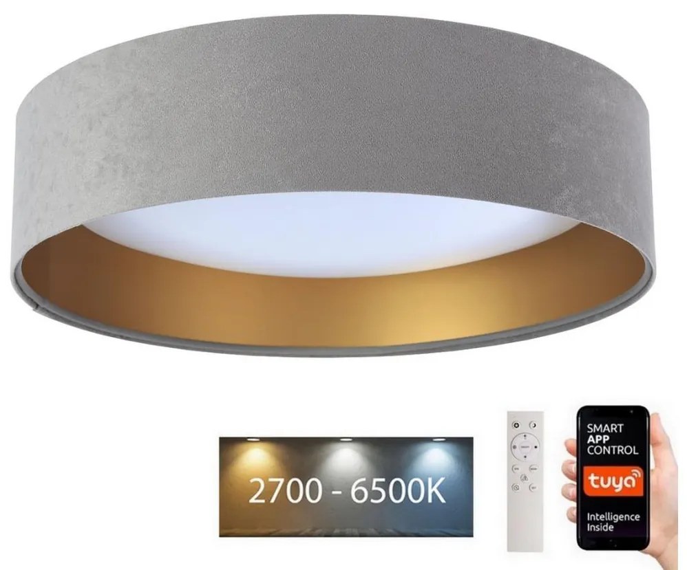 BPS Koncept LED Stropní svítidlo SMART GALAXY LED/36W/230V Wi-Fi Tuya šedá/zlatá + DO BS0520