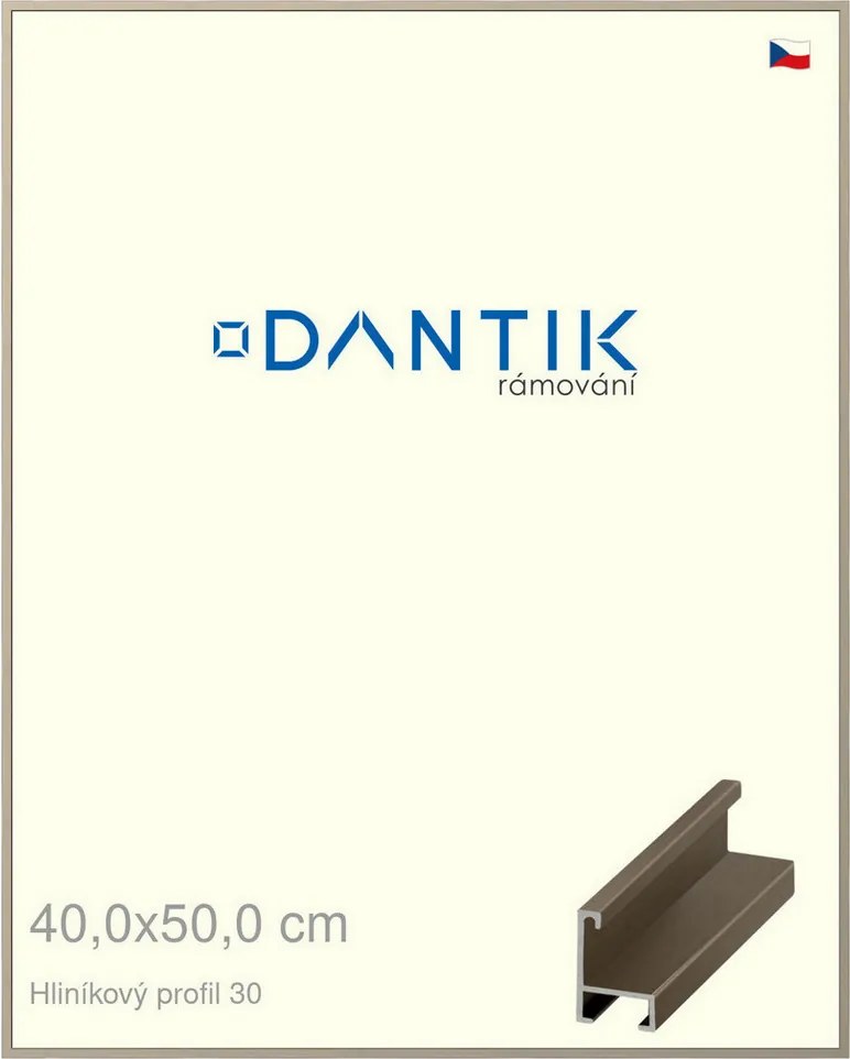 DANTIK rámeček 40x50 | ALU profil 6030 champagne (Sklo Čiré)