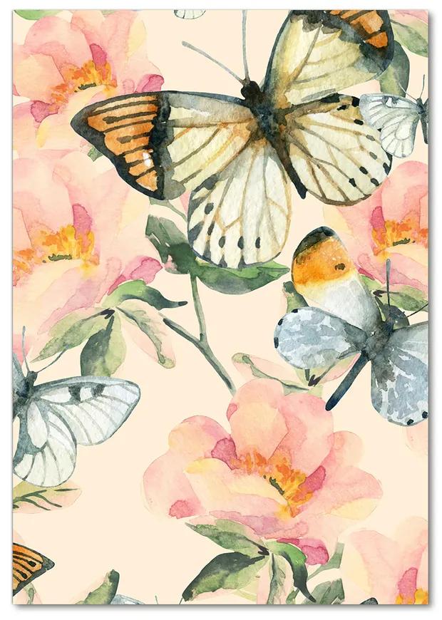 Wallmuralia Foto obraz akrylový do obýváku Růže a motýli 70x100 cm