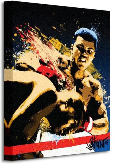Obraz na plátně Muhammad Ali (Stung - Petruccio) 30x40cm WDC92449
