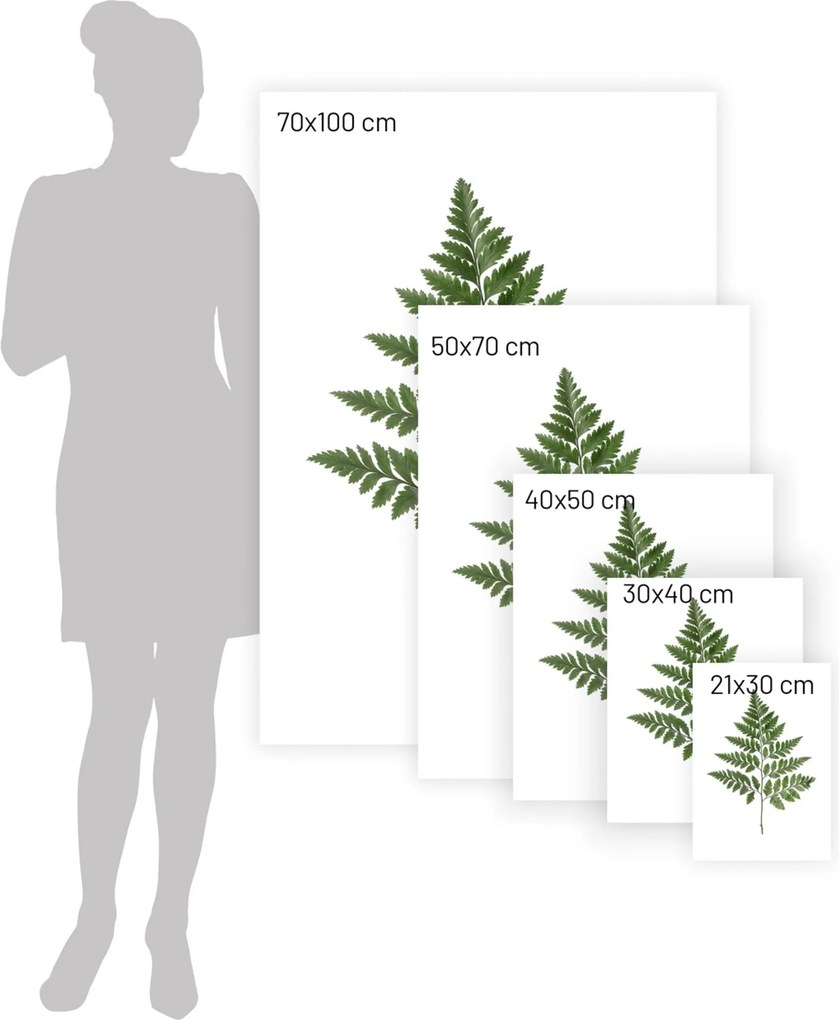 Plakát Fern Green