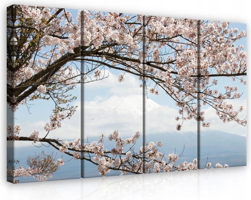 Obraz 120x80 Sakura kvetení třešní Fuji Japonsko jaro krajina příroda