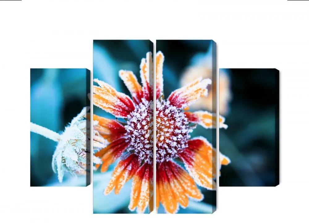 Vícedílný obraz Rudbeckia Květiny Pokryté Mrazem Nedostatek Nedostatek Přírodní plátno 120x90