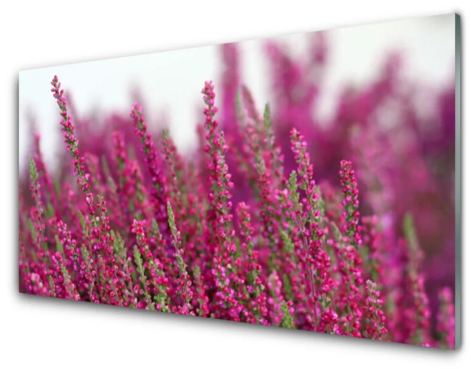 Obraz na skle Květiny Louka Příroda 120x60 cm