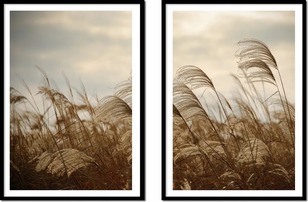 Obraz Plakáty V Rámu 53x73 cm Diptych Sada 2 obrazů Tráva Béžová Boho P2178