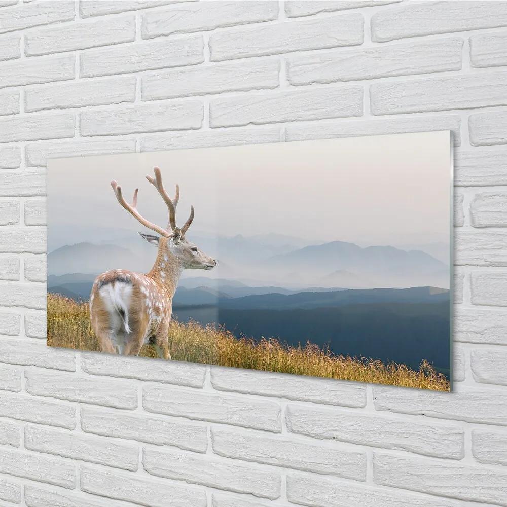 Obraz na skle jelen hory 120x60 cm