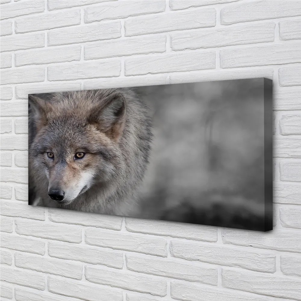 Obrazy na plátně Vlk 125x50 cm