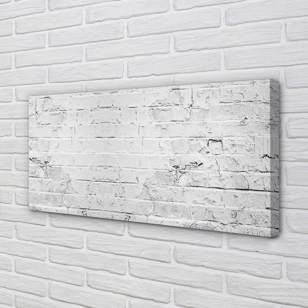 Obrazy na plátně Cihlové zdi wall 100x50 cm