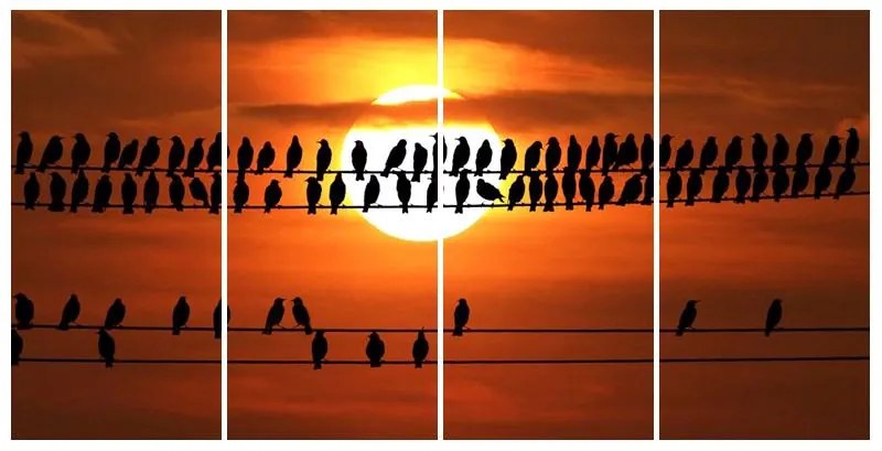 Obraz ptáků se západem slunce (160x80 cm), 40 dalších rozměrů