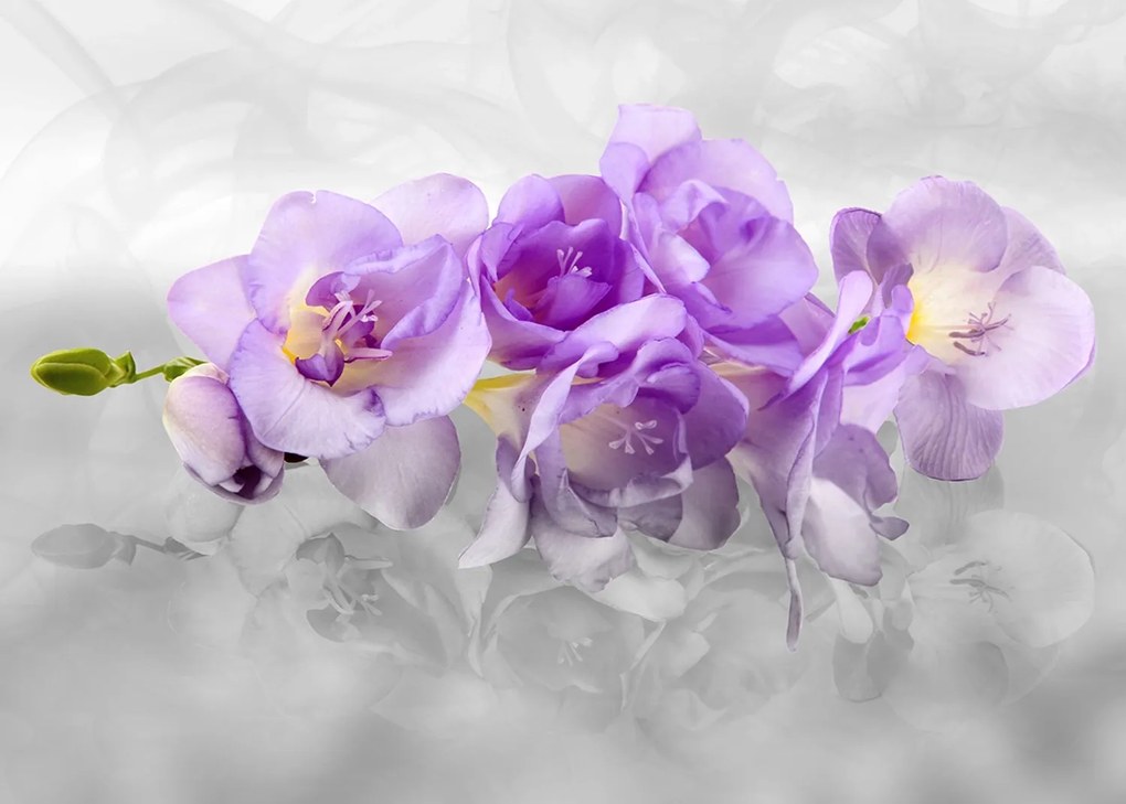 Fototapeta na míru Něžná Orchidej | Vliesová fototapeta na zed' | DFTNXXL2400