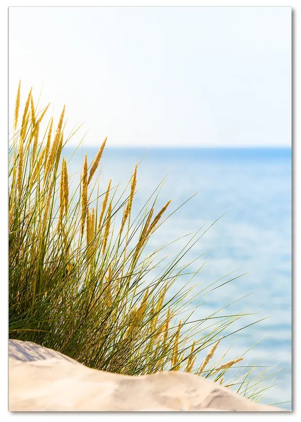 Wallmuralia Foto obraz skleněný svislý Mořské duny 70x100 cm