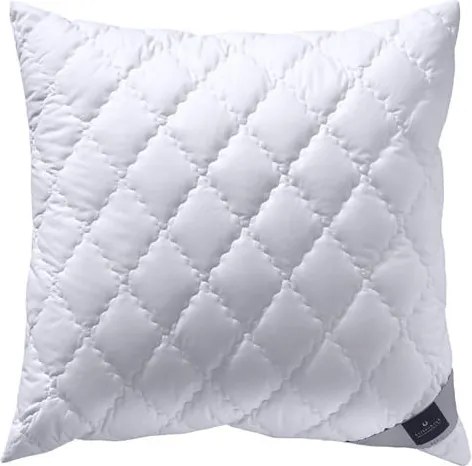 XXXLutz POLŠTÁŘ POD HLAVU, 80/80 cm Billerbeck - Polštáře pod hlavu - 003279010301