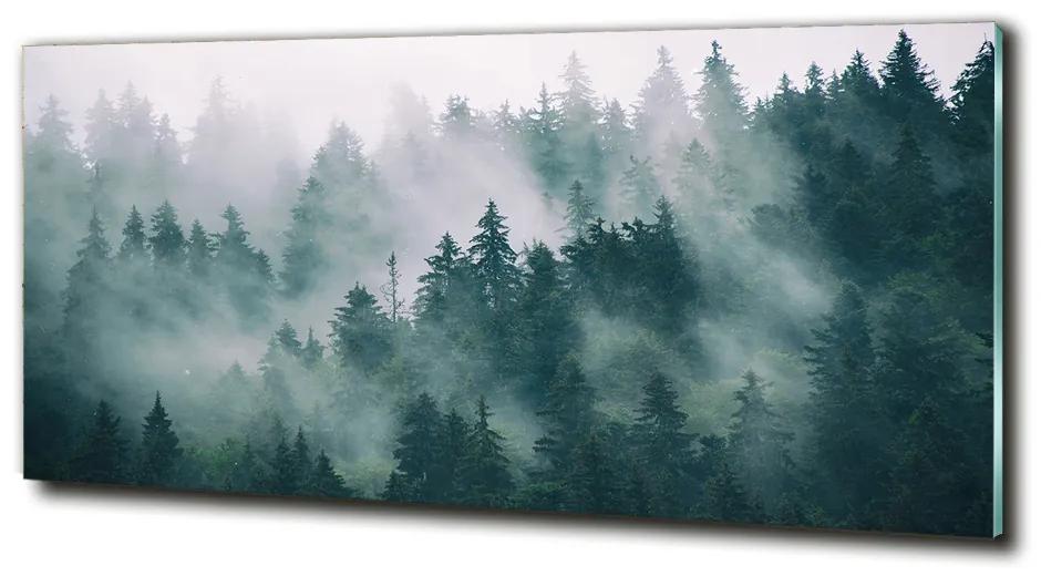 Wallmuralia Fotoobraz na skle Mlha nad lesem 125x50 cm