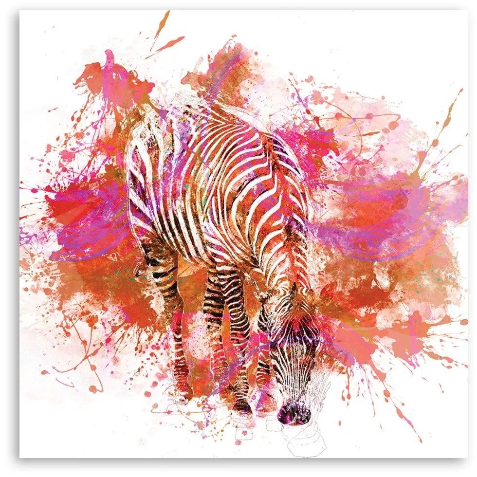 Gario Obraz na plátně Barevně malovaná zebra - Andrea Haase Rozměry: 30 x 30 cm