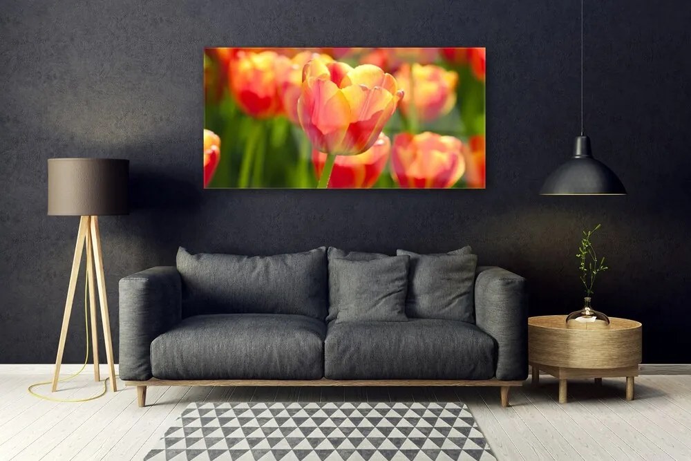 akrylový obraz Tulipány Květiny Rostlina 120x60 cm