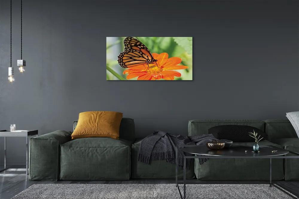 Obrazy na plátně Květ barevný motýl 100x50 cm