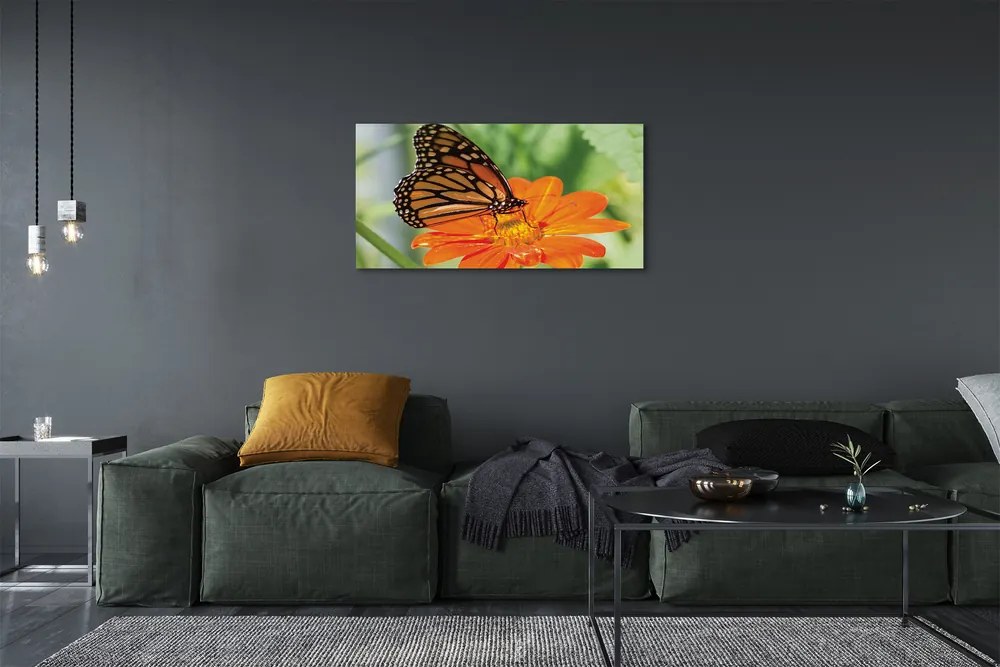 Obrazy na plátně Květ barevný motýl 140x70 cm