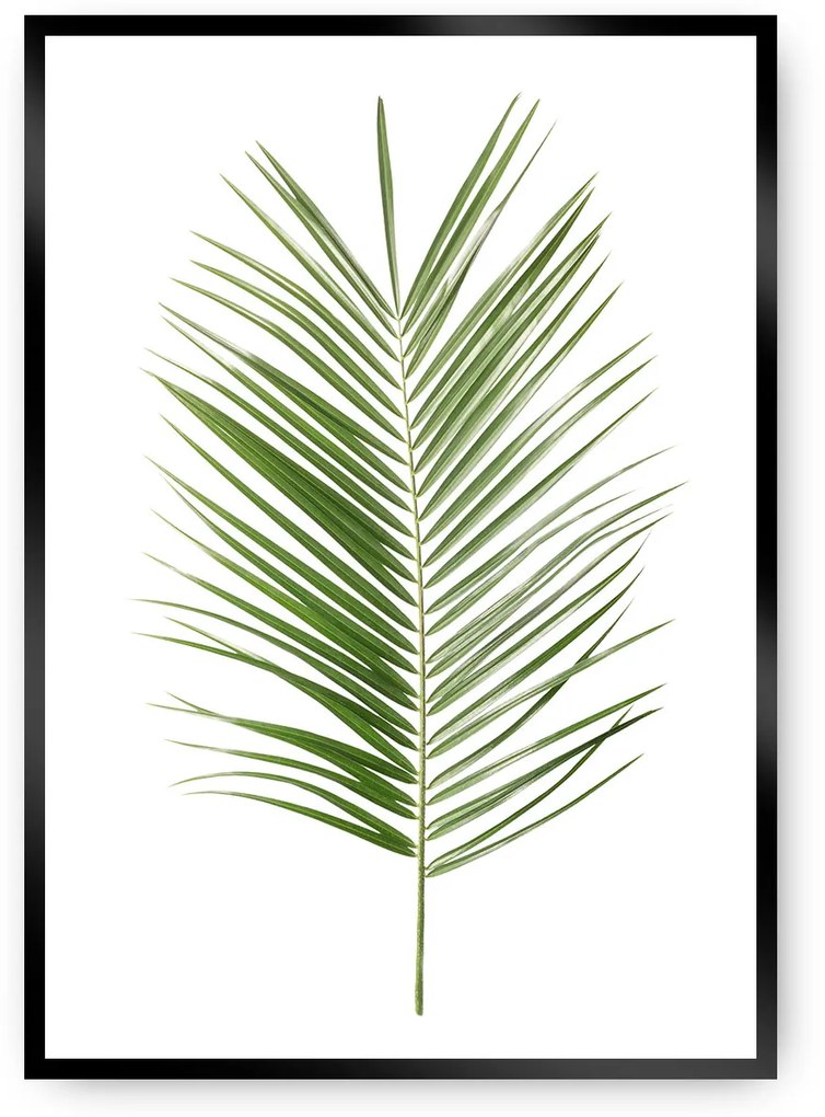 Plakát Palm Leaf Green