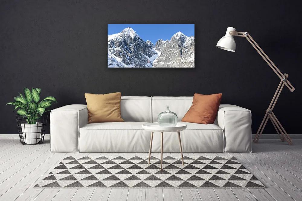 Obraz na plátně Hora Sníh Krajina 125x50 cm