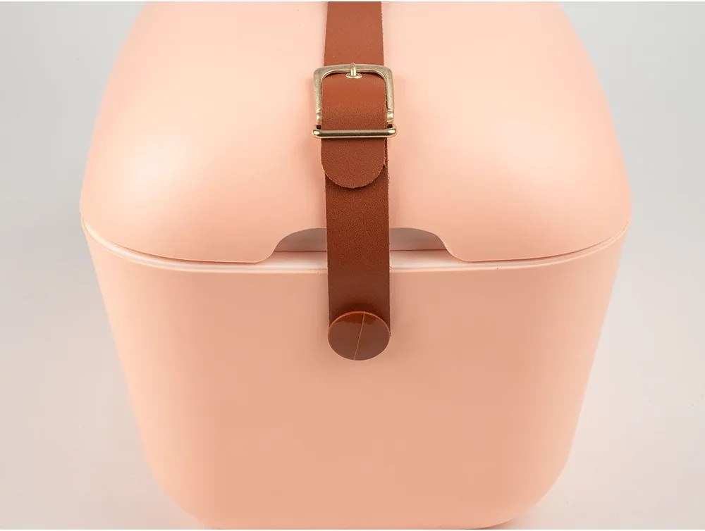 Růžový chladicí box 20 l Classic – Polarbox