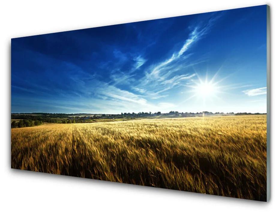 Obraz na skle Pole Obilí Slunce Krajina 100x50 cm