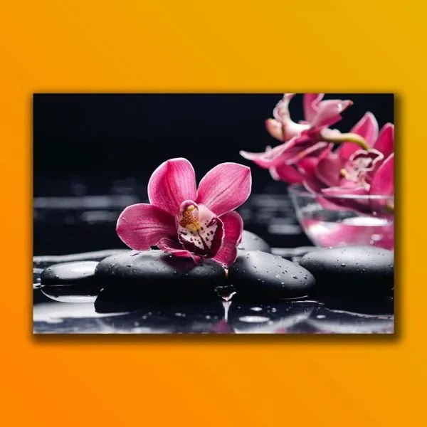 Plakát - Růžová orchidea