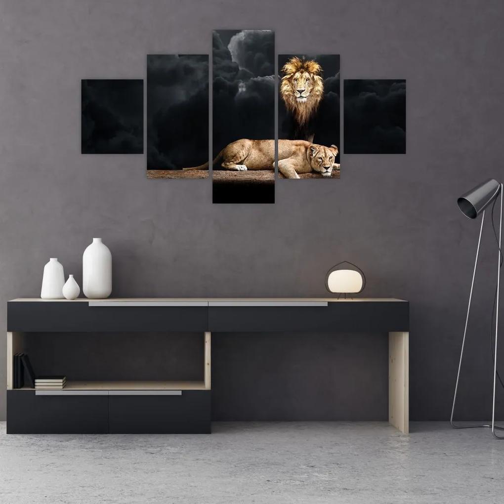 Obraz - Lev a lvice v oblacích (125x70 cm)