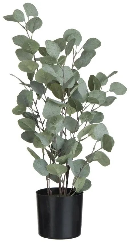 OnaDnes -20% Umělá květina J-Line Maryath Eucalyptus 60 cm