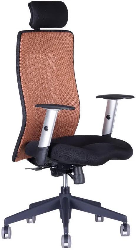 Kancelářská židle na kolečkách Office Pro CALYPSO GRAND SP1 – s područkami Hnědá 1611