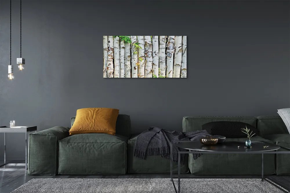 Obrazy na plátně březové listí 125x50 cm