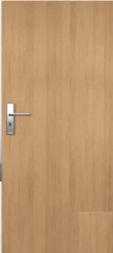 Vstupní dveře NATUREL Entry, 80 cm, pravé, otočné, ENTRYJ80P