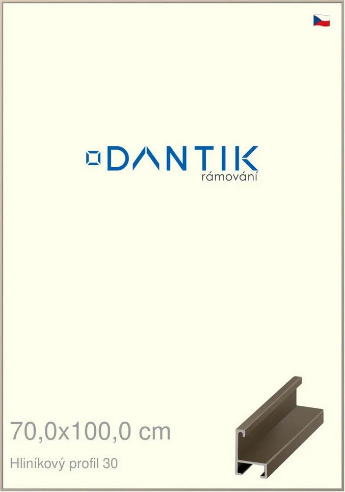 DANTIK rámeček 70x100 | ALU profil 6030 champagne (Plexi Čiré)
