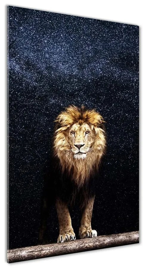 Wallmuralia Foto obraz akrylový Lev na pozadí hvězd 60x120 cm