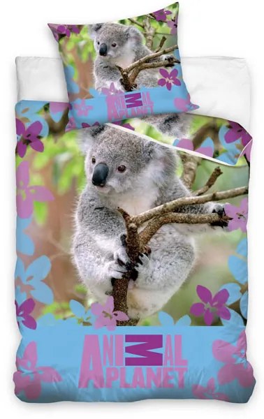 CARBOTEX Povlečení Animal Planet Koala Bavlna 140/200, 70/90 cm