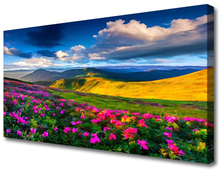 Obraz na plátně Louka Květiny Příroda 100x50 cm